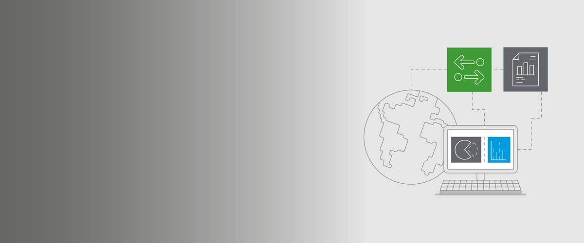 Customs dashboard software | RSM UK